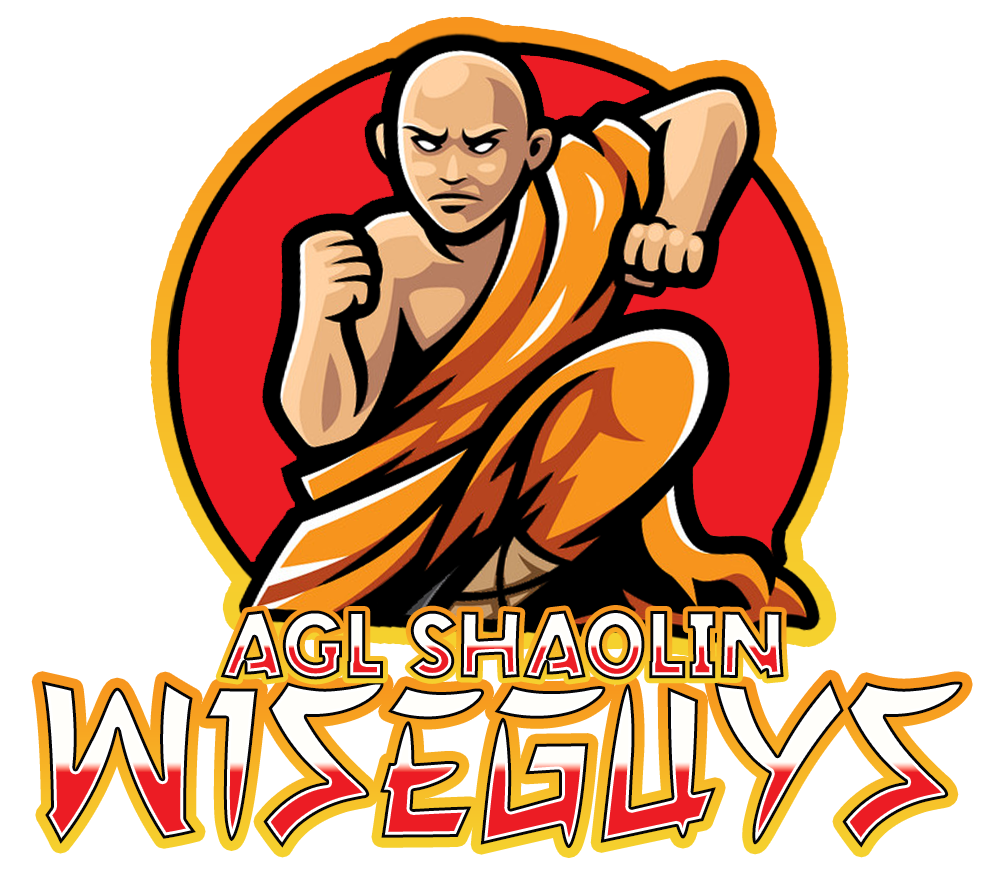 AGLPS5XS - eHockey Pro