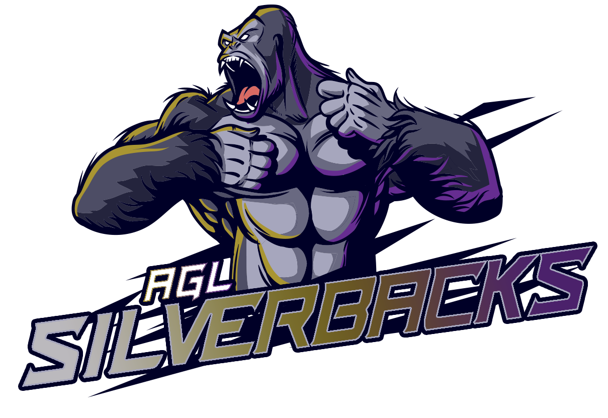 AGLPS5XS - eHockey Pro